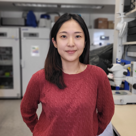 Lab Members | UT Southwestern, Dallas, Texas